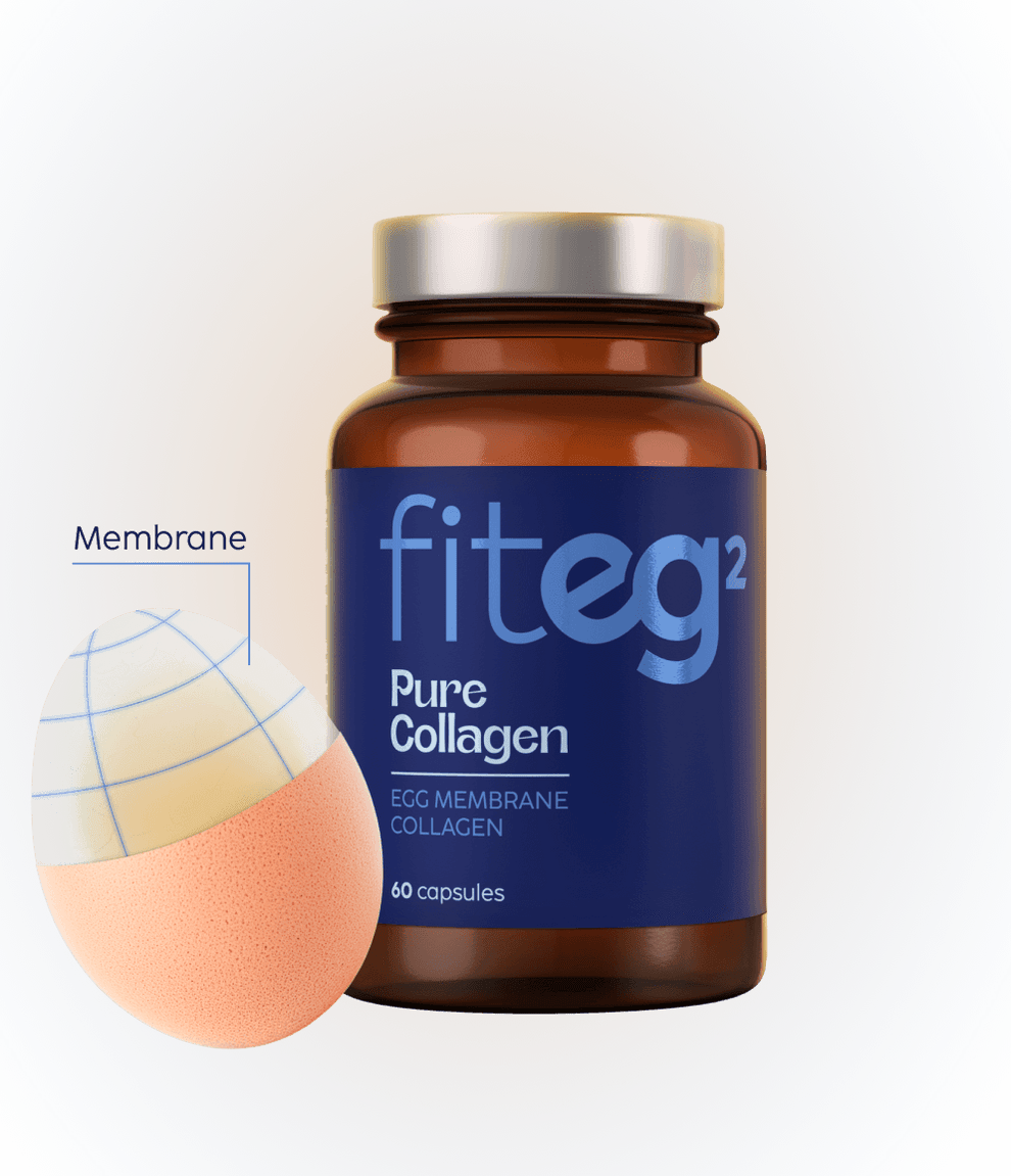 Fiteg2 Egg Membrane Collagen, 60 capsules – Fiteg2.com